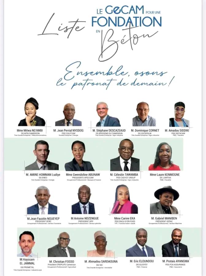 Celestin Tawamba,futur président du Gecam: le sacre prévisible d'un ...